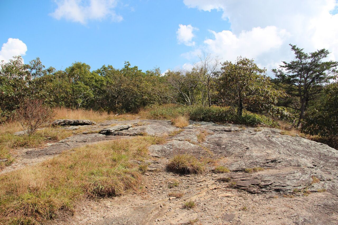 3 Summit Challenge | House of Applejay | Fine Spirits & Likör Distillery